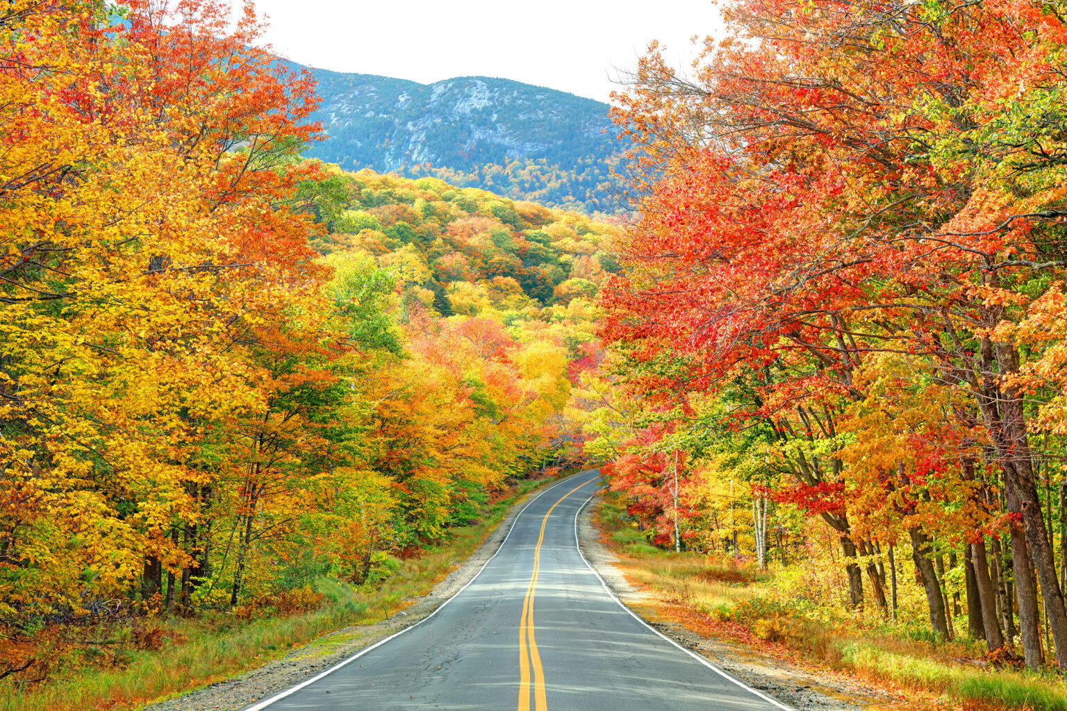 Dempsey Center | Maine's Lakes and Mountains